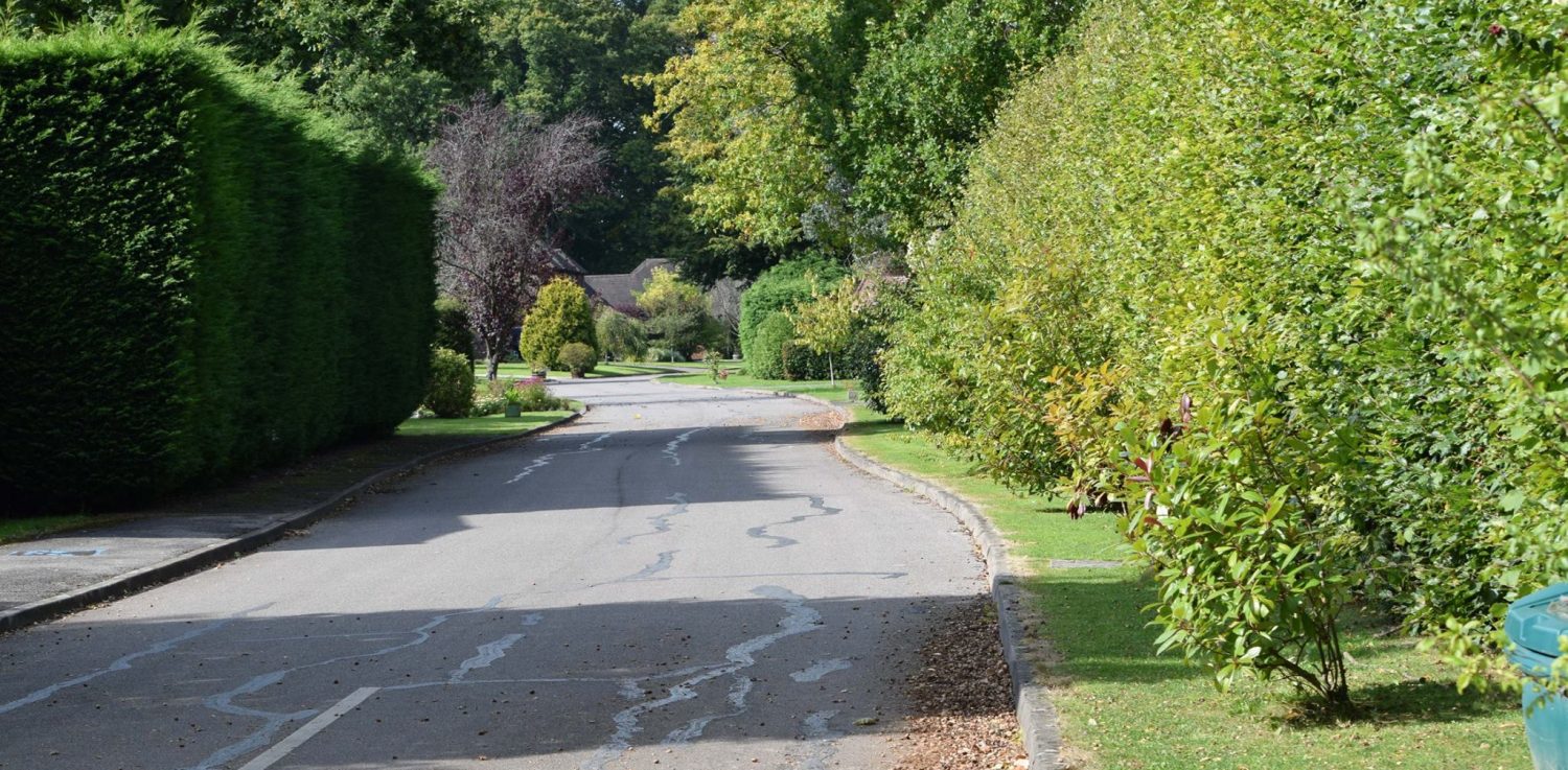 A searchable house names map, to help Santa – Ifold Estates Ltd